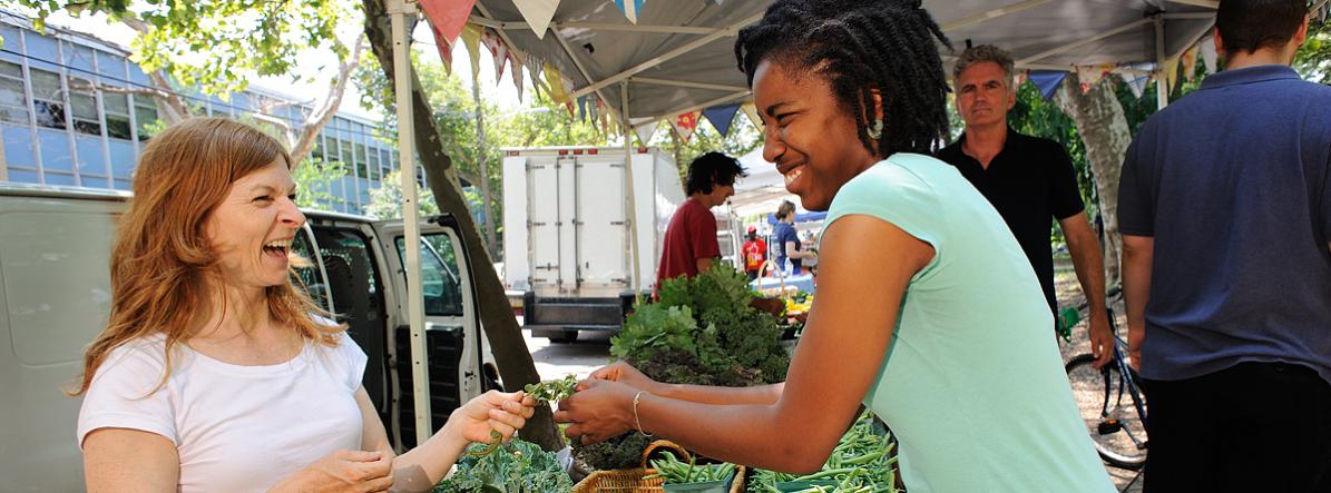 Volunteer with The Food Trust